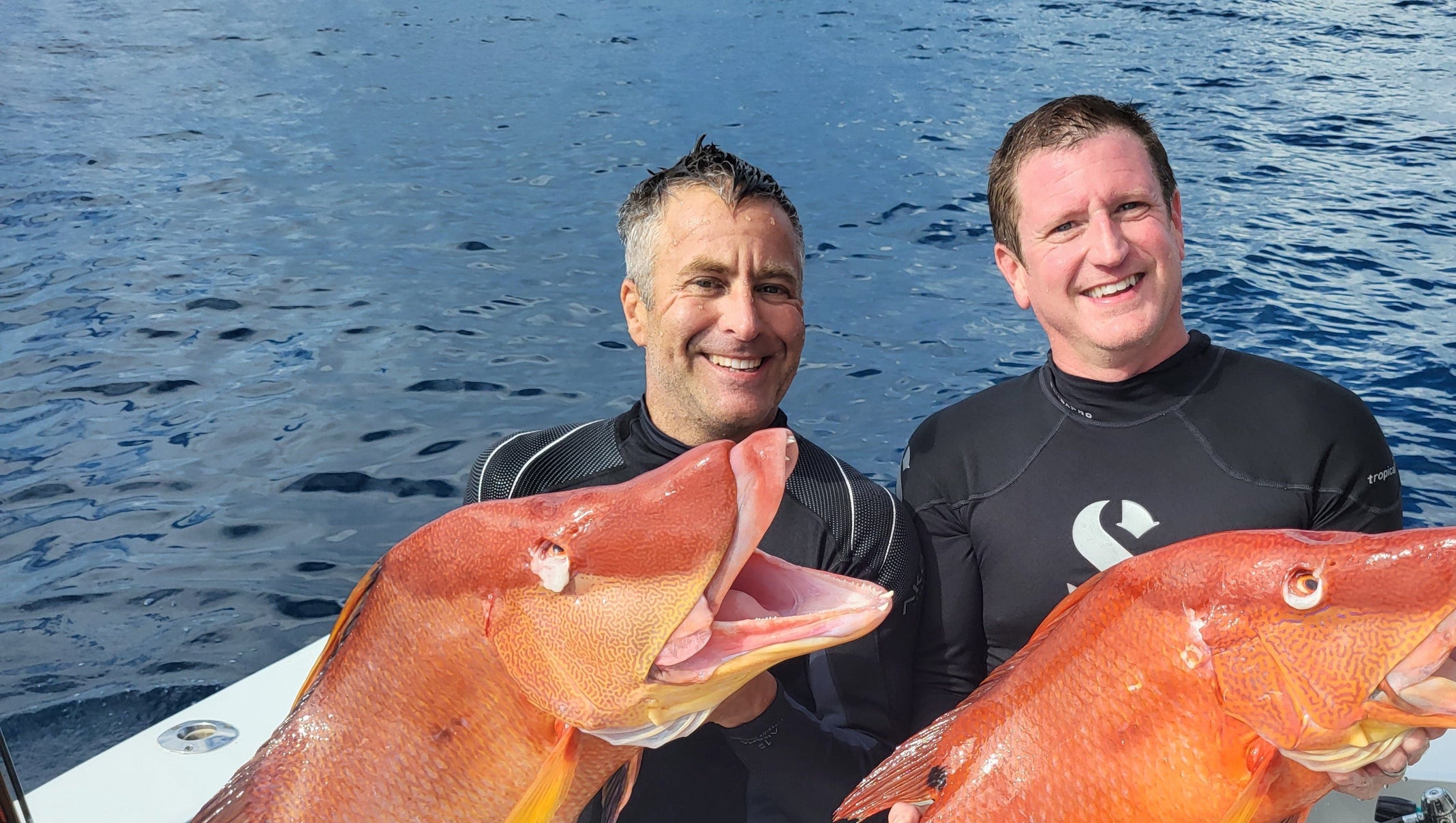 Flipper's Diving LLC