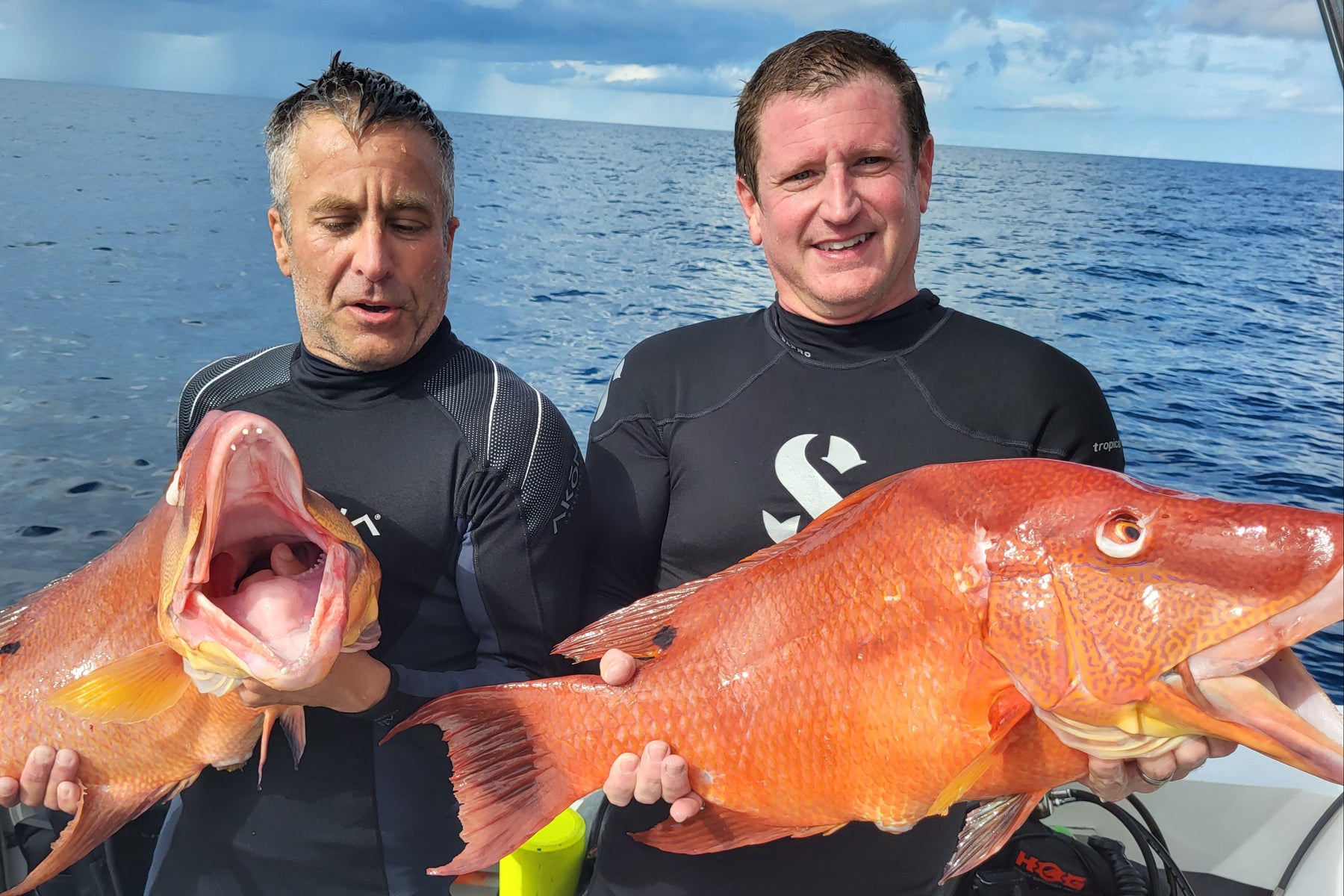 Flipper's Diving LLC